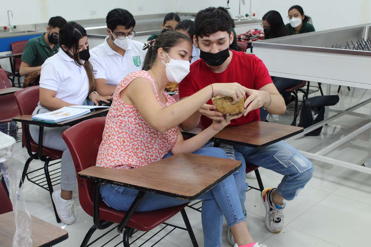 Universidad Autónoma de Chiriquí | Aulas de clase